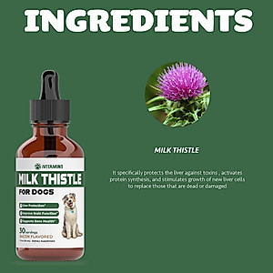 Milk Thistle for Dogs | Supports Liver and Kidney Health | Milk Thistle for Dogs Liver Support | Dog Milk Thistle | Dog Liver Support | Dog Liver Supplement | Milk Thistle Supplement for Dogs | 1 oz
