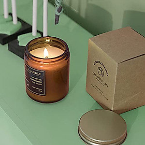 CHLOEFU LAN Citronella Candles Outdoor & Indoor 100% Soy Wax Jar Candles 45 Hours Burning Decorative Candles for Garden Camping Patio,Summer Candles，Highly Scented, 7.1 Oz, 2 Pack