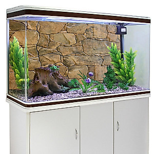 AWERT Stone Aquarium Background Rocky Fish Tank Background Rock Terrarium Background 48x24 inches Vinyl