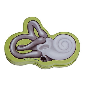 Hearing Gift Box Collection 2, 12 Pack for Audiologist, Students or Hearing Professional