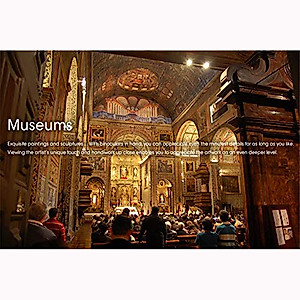 SPELL Compact Folding Binoculars, Telescope with Waterproof for Adults/Kids/Outdoorbirding/Travelling/Sightseeing/Hunting/Birdwatching