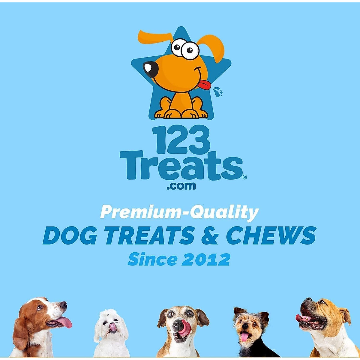 123 Treats Pig Ears for Dogs – 100% Natural Long Lasting Pork Dog Chews with Delicious Dog Chew Treat, Ideal for All Chewers, Healthy Large Pig Ears (One Pack of 30)