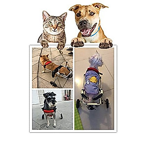 QingYi Dog Wheelchair , Adjustable Animal Exercise Wheels,Cart Pet Wheelchair for Handicapped Hind Legs Small Pet/Cat/Dog Red