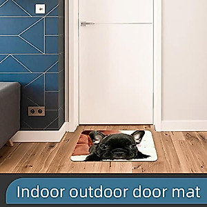 VBFOFBV Kitchen Rug Mats, Soft Kitchen Mat Anti Slippery Machine Washable, Animal French Bull Dog