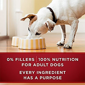 Purina ONE High Protein Wet Dog Food True Instinct Tender Cuts in Dog Food Gravy With Real Beef and Bison - (Pack of 12) 13 oz. Cans