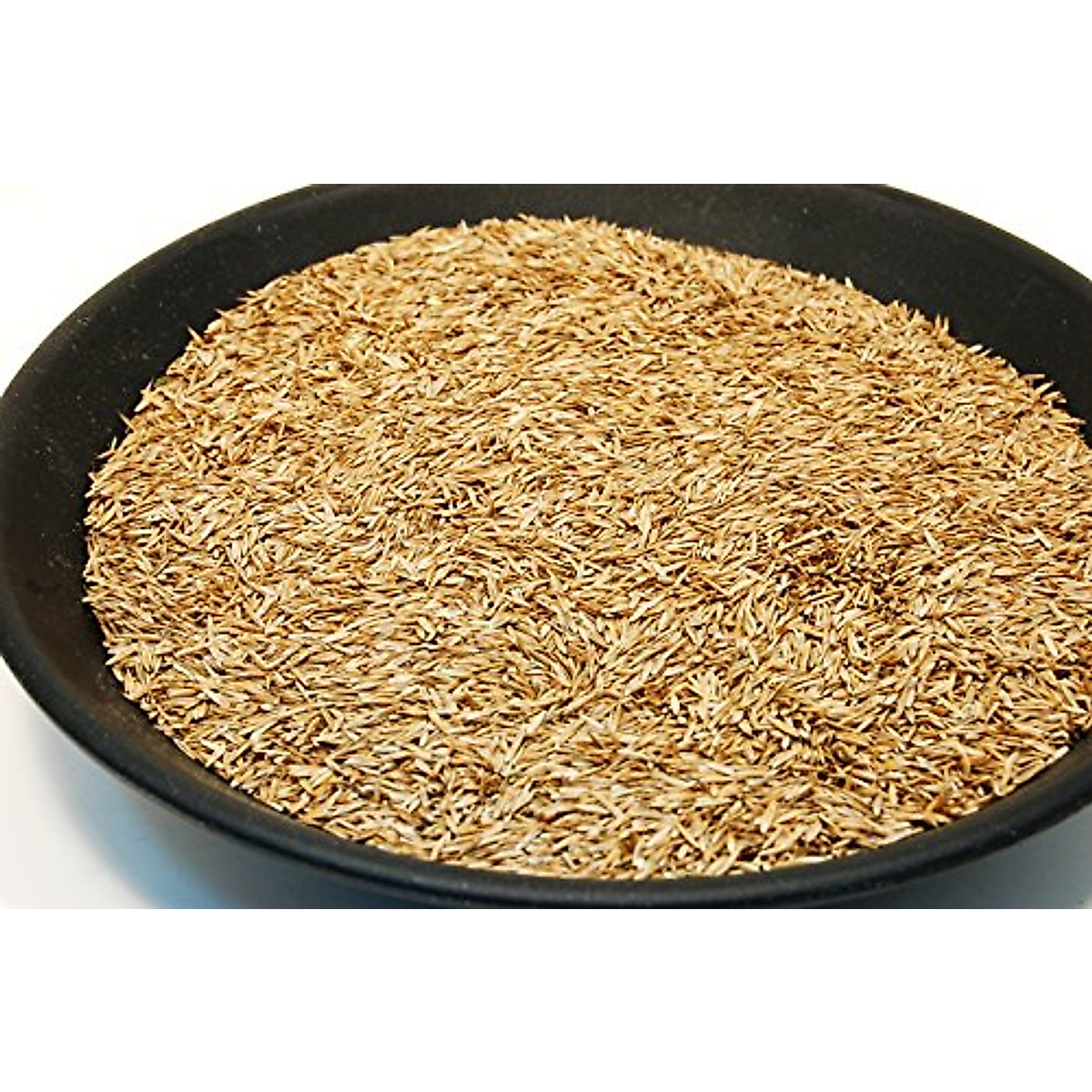 Kentucky 31 K31 Tall Fescue Grass Seed by Eretz - CHOOSE SIZE! State Certified, No fillers, No Weed or Other Crop Seeds (5lbs)