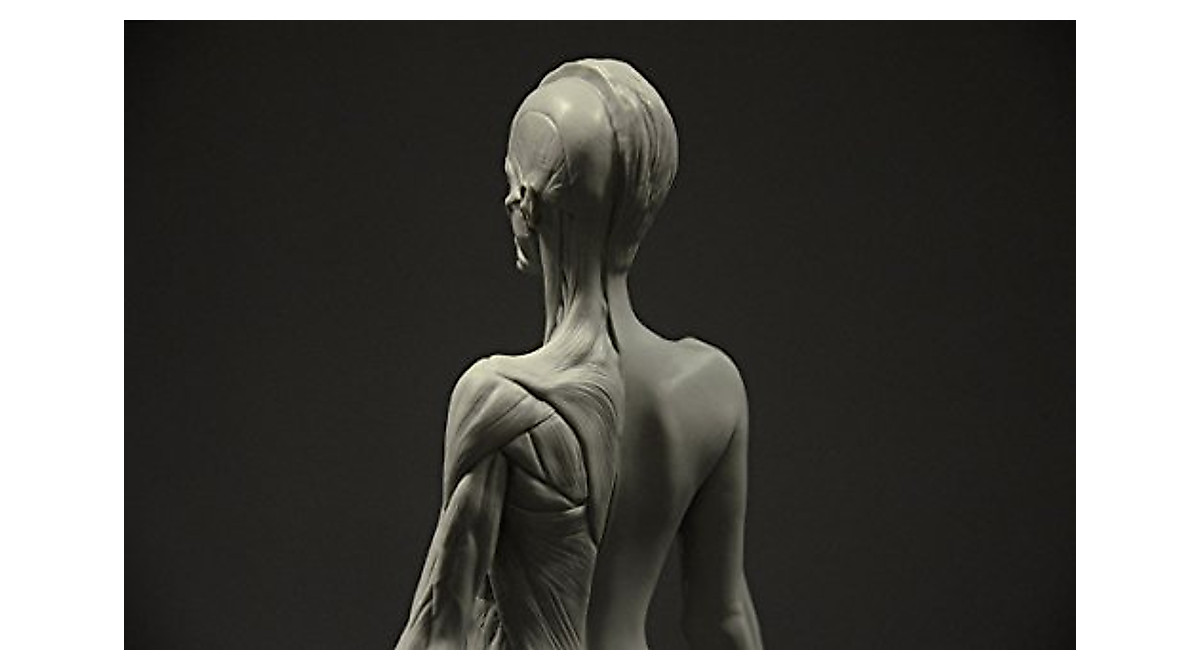 Female Anatomy Figure - 10.5-inch Artistic Anatomy Reference for Artists