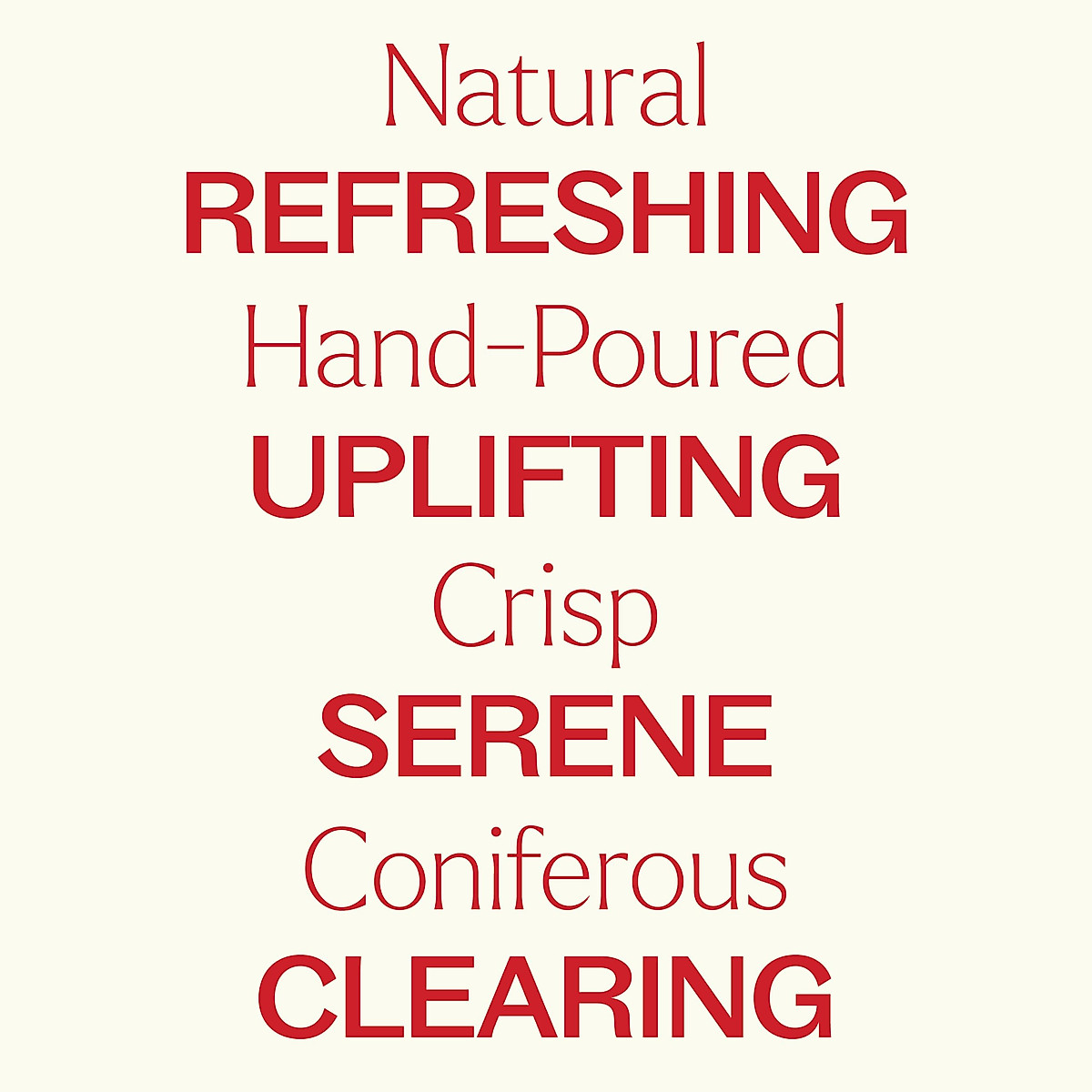 Plant Therapy Candy Cane Naturally Scented Candle 9 oz Hand-Poured Coconut & Soy Wax Blend, Crisp & Cool Natural Scent, Chic Frosted White Jar with Wooden Lid