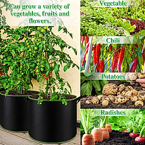 NACHLYNN 5-Pack 10 Gallon Grow Bags with Handles Thickened Nonwoven Fabric Pots Heavy Duty Aeration Fabric Pots Plant or Fruits Flowers Plant