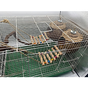 kuminamoja Coconut Bird's Nest with Ladder for Parrots Parakeet Conures Cockatiel and Small Animals (Large)