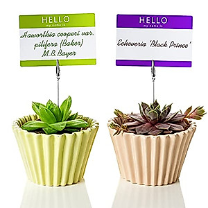 40 PCS Metal Wire Alligator Clips, Long-Tailed Alligator Clamp Photo Clip Holder, Alligator Clips for Crafts, DIY Card, Photo, Memo, Clip Holder (6inch/150mm)