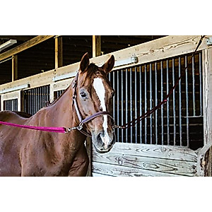 Tack Shack of Ocala Nylon Cross Ties, Set of 2 Cross Ties, Cross Ties for Horses, Quick Release Cross Ties, Stable Supplies, Stable Supplies for Horses (Hunter)