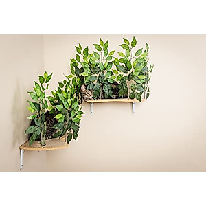 On2Pets Cat Shelves Wall-Mounted Cat Trees Cat Furniture for Climbing, Playing and Relaxing, Set of 2, Indoor Cat Shelf Made in USA… (Zen Green, Curved)