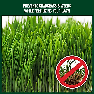 Purely Organic Products Crabgrass Defender Lawn Food 10-0-2, 15 LB, Covers 3000 Sq Ft