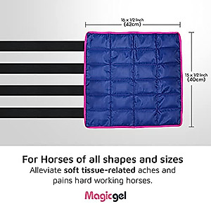 Horse Ice Pack - Cooling Leg Wraps for Hock, Ankle, Knee, Legs, Boots, and Hooves. (Twin Ice Boot, by Magic Gel)