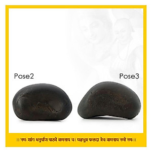 Vedic Vaani Vaman Vishnu Rupam Shaligram Shila |Shaligram Paste|Vridavan Tulsi Attar| Tulsi mala (Pack of 4)