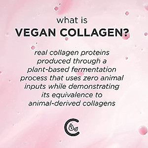 Pacifica Vegan Collagen Overnight Recovery Cream 1.7 oz