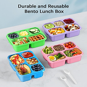 KHOXU Bento Lunch Box, 5 Compartment Meal Prep Container, Reusable, Durable, Stain-Resistant, Microwave & Dishwasher Safe, Blue/Purple/Green