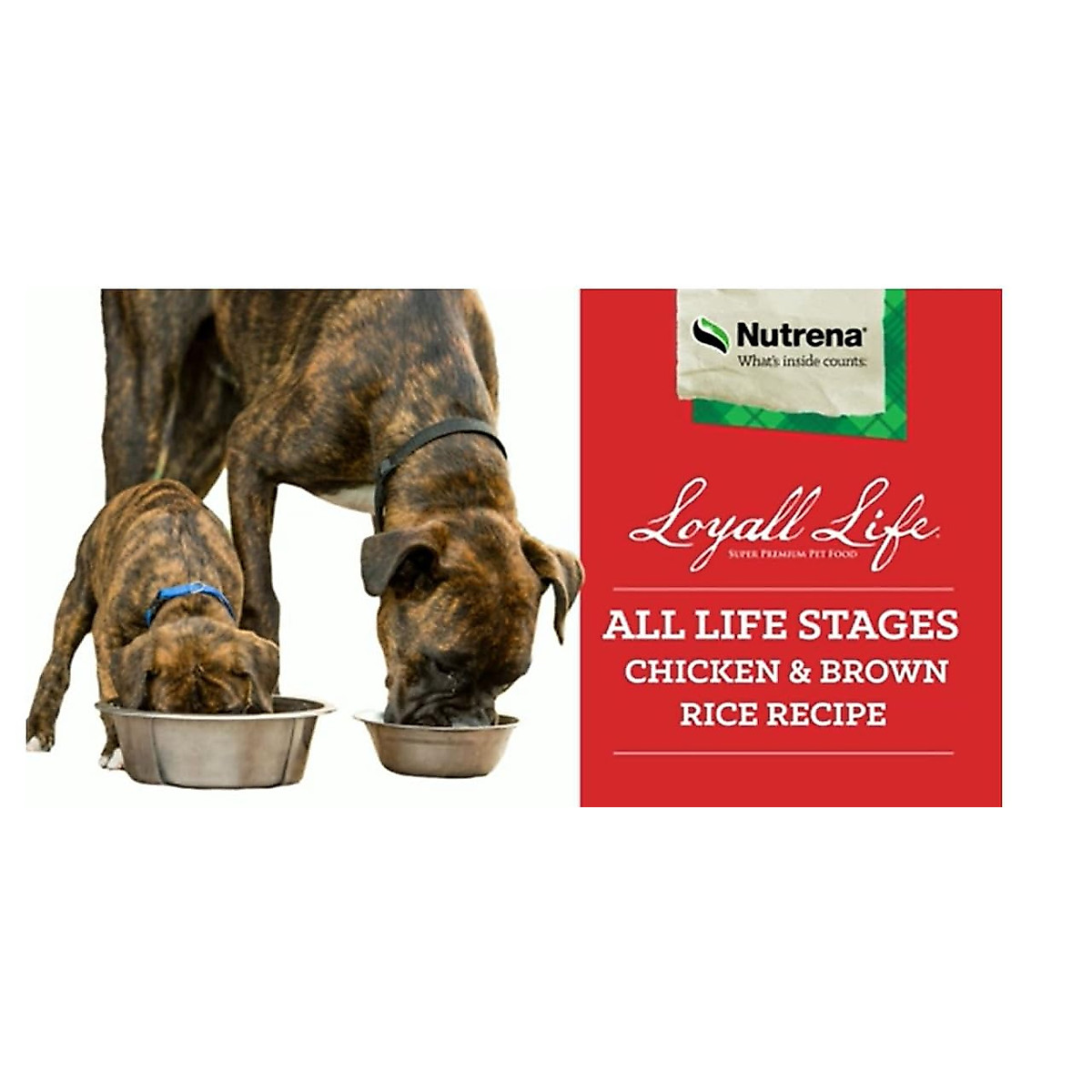 Nutrena Loyall Life All Life Stages Chicken and Rice Dog Food (40 Pounds), 1 Count (Pack of 1)