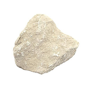 EISCO 12PK Raw Limestone Chalk, Sedimentary Rock Specimens - Approx. 1" - Geologist Selected & Hand Processed - Great for Science Classrooms - Class Pack Labs