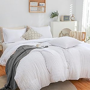 Haowaner White Comforter Twin XL/Twin White Comforter,Twin Comforter White Comforter Twin Size,White Twin XL Comforter Set For College Girls/Boys,Twin Size Comforter,XL Twin Comforter Sets For College