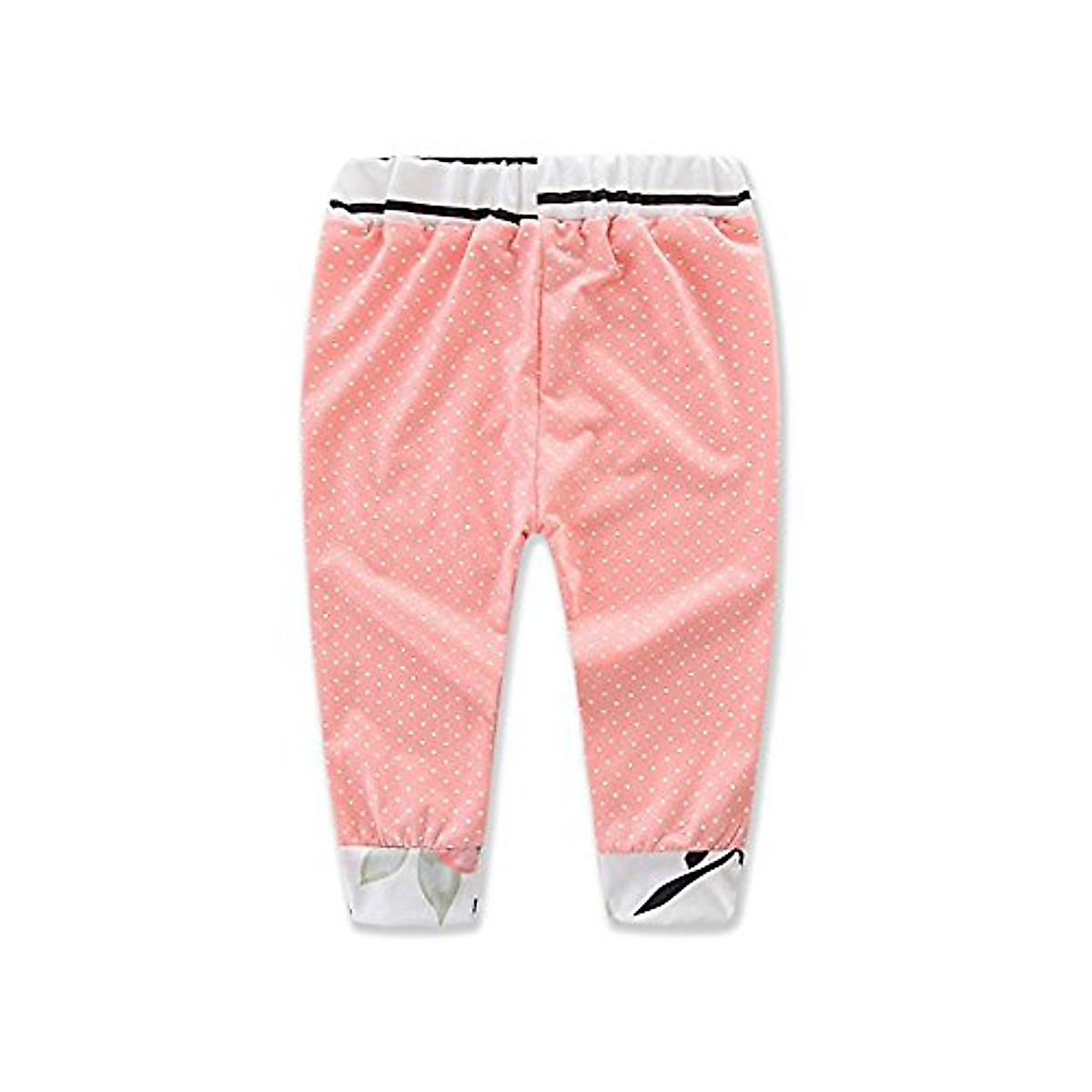 Askwind Baby Girls Floral Hoodie+ Floral Pant Set Leggings 2 Piece Outfits (12-18 Months, Pink)