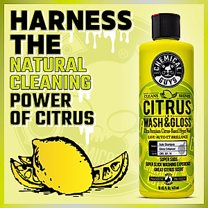 Chemical Guys CWS_301_16 Citrus Wash & Gloss Foaming Car Wash Soap (Works with Foam Cannons, Foam Guns or Bucket Washes) Safe for Cars, Trucks, Motorcycles, RVs & More, 16 fl oz, Citrus Scent