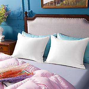 NTBAY Zippered Satin Pillow Cases for Hair and Skin, Luxury Standard Hidden Zipper Pillowcases Set of 2, 20x26 Inches, Pure White