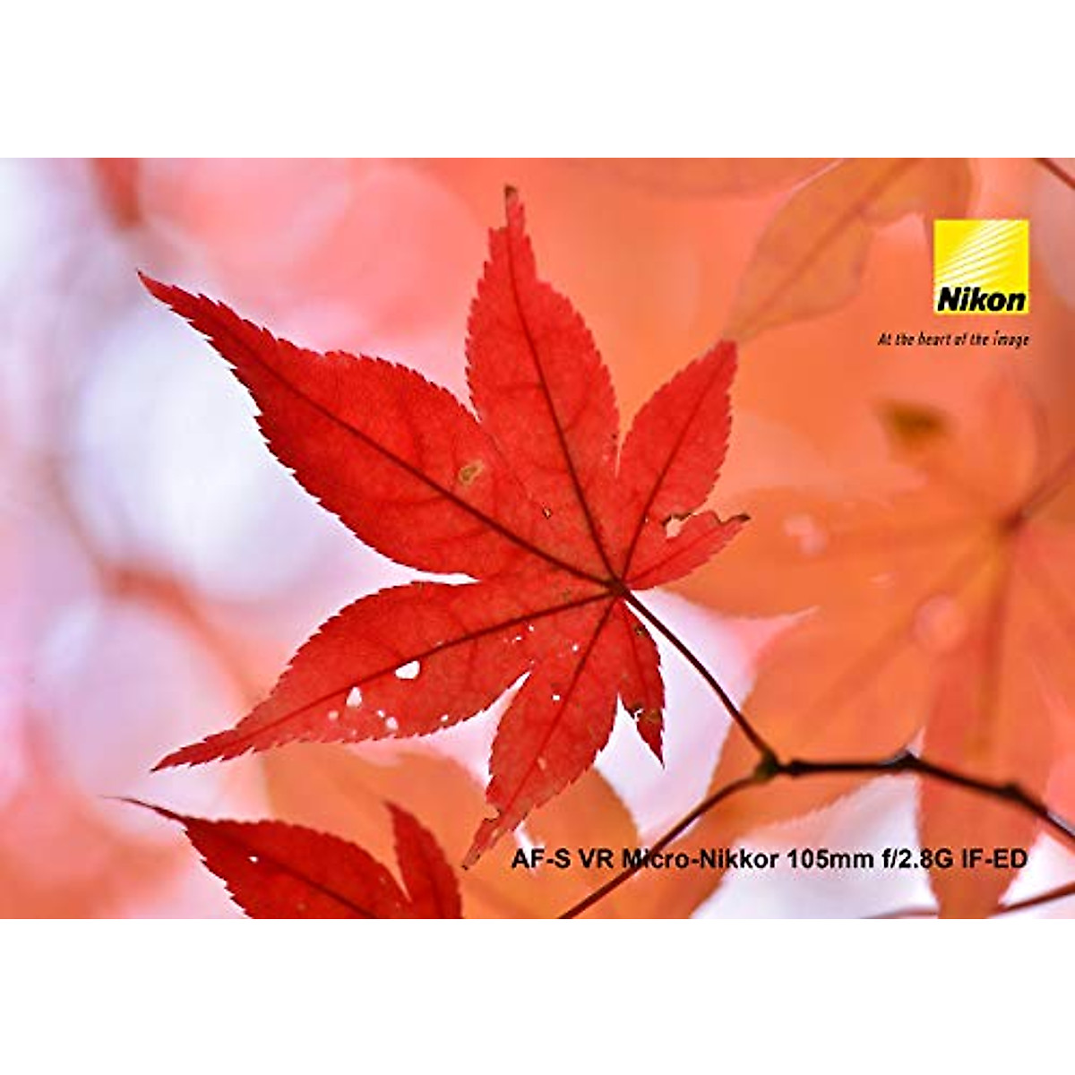 Nikon AF-S VR Micro-NIKKOR 105mm f/2.8G IF-ED Lens (Renewed)