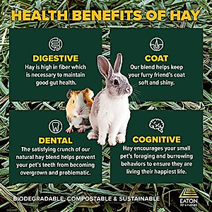 Eaton Pet and Pasture Naturally Grown, Premium, 1st Cut Blend, Western Timothy Hay Orchard Blend, Small Animal Food, Sustainable, Eco-Friendly, Farmer-Owned, 6LB-Box.