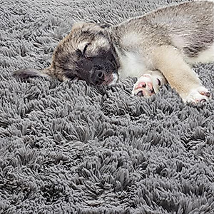 ONASAR Soft Round Area Rug for Bedroom,4 ft Gray Circle Rug for Nursery Room, Fluffy Carpet for Kids Room, Shaggy Floor Mat for Living Room, Furry Area Rug for Baby, Teen Room Decor for Girls Boys