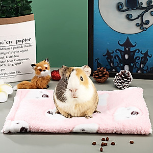 Jetec 2 Pieces Guinea Pig Bed Rabbit Bed Small Animal Hamster Warm Mats Winter Warm for Bunny Hamster Squirrel Hedgehog Chinchilla Small Animal Accessories(Green, Pink,Bear Pattern)