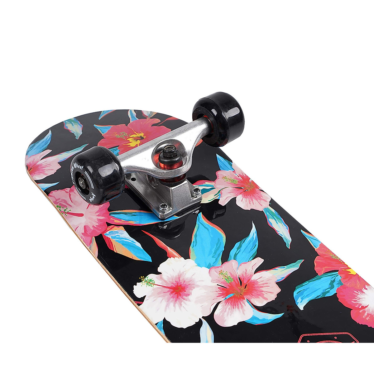 Amrgot Skateboards for Beginners,31 * 8 inches Complete Skateboards for Kids,Boys,Girls and Adults,7 Layer Maple Wood,Double Kick Deck Concave Standard and Tricks Skateboard