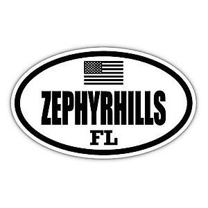 3 Pack Reflective Zephyrhills FL Florida Pasco County Stealthy US Flag Euro Decal Sticker Vinyl for Hard Hats, Bottles, Glass, Toolbox 2" x 3"