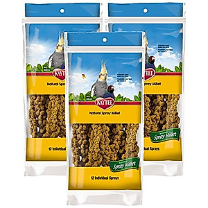 Kaytee Spray Millet for Birds (Pack of 3)