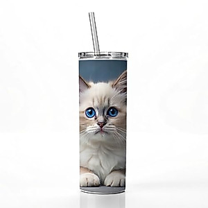 Ragdoll Cat Kitten Photo Skinny Tumbler 20oz with Straw Insulated Water Bottle Gift
