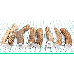 Big Dog Antler Chews - Extra Large 2-Pack Elk Antler Dog Chews, 6 Inches to 10 inches Long, for Medium to Large Dogs and Puppies
