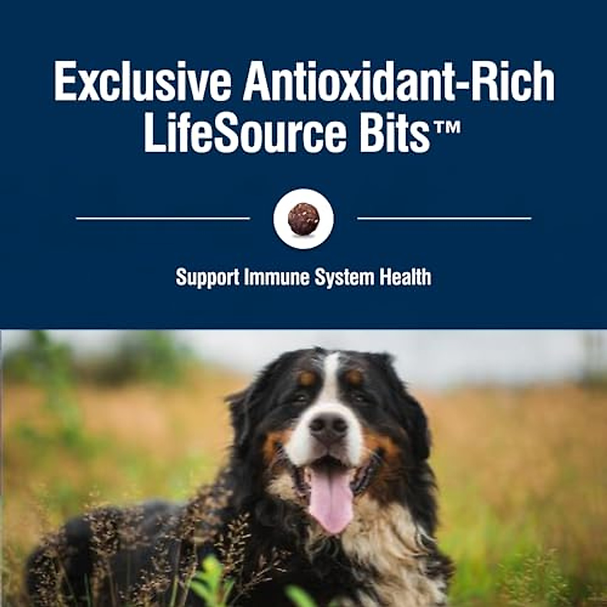 Blue Buffalo True Solutions Livin' Large Natural Dry Food for Adult Large Breed Dogs, Chicken, 11-lb Bag