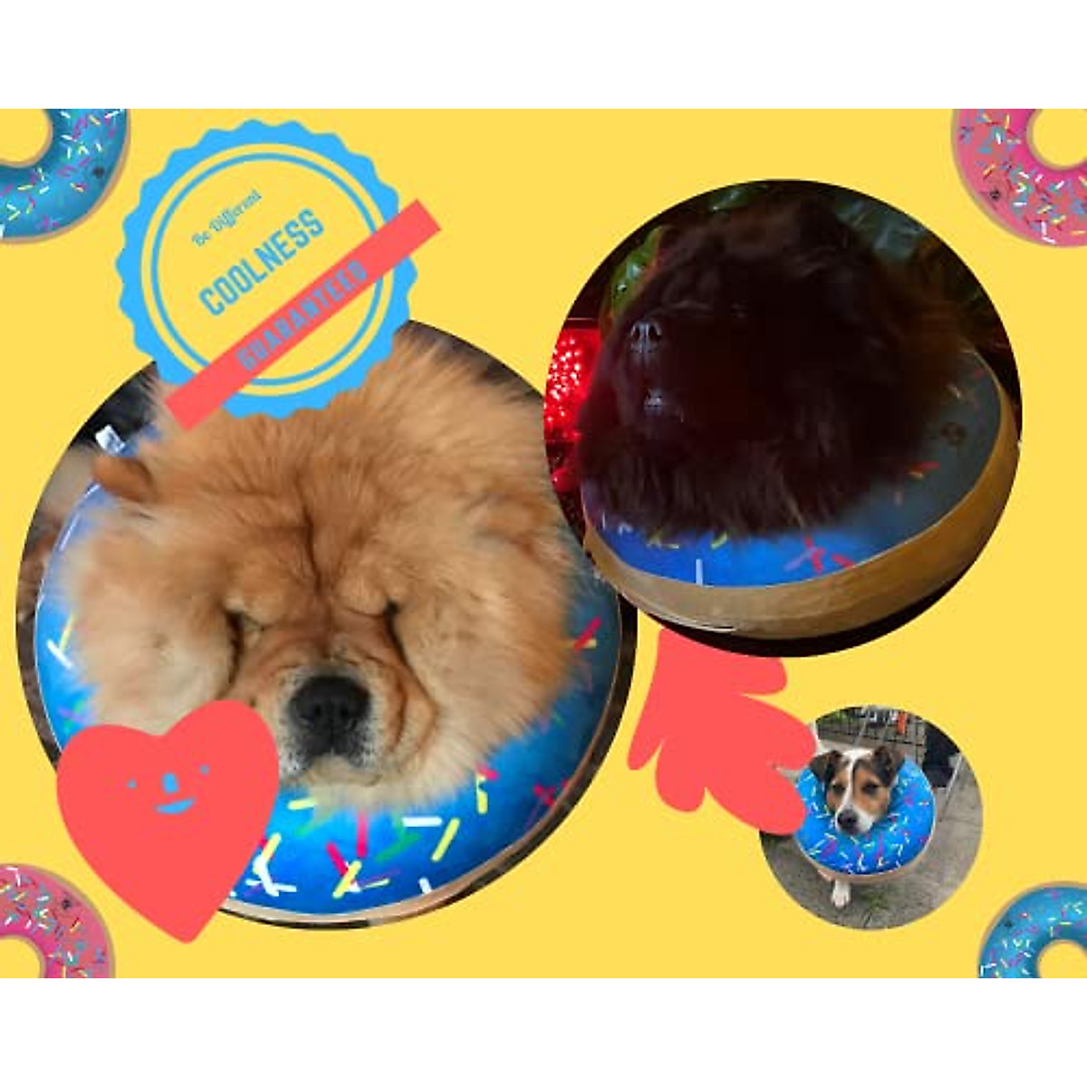 Dog Donut Collar | Great Alternative to a Traditional Dog Cone or a Soft Dog Cone Collar | Our Inflatable Dog Cone is an Excellent Cone for Dogs After Surgery | Dog Cones for Large Dogs (Blue)