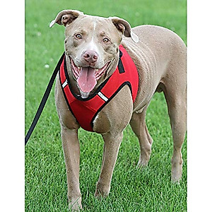 The Worthy Dog Sidekick Padded Harness Red Plaid Pattern With Secure Back Buckle, Adjustable Velcro, and D rings for Leash - Cute, Fashionable, and Comfy Outdoor Walking Vest Accessory - Medium