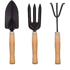 Mini Garden Tools Set of 3, Succulent Plants Tools Wood Handle Rake, Fork and Shovel, Garden Hand Transplanting Gardening Tools Set for Seedlings, Bonsai, Succulents, Herbs, Terrariums and Planting