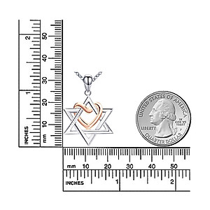APOTIE Silver Star of David pendant with Rose Gold Heart Necklace Mother Day Jewelry Gift for Mom Women (Rose Gold Heart Star of David Necklace)