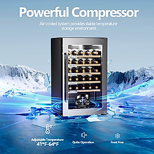 MOLINGDUN Wine Fridge, 33 Bottles Freestanding Wine Cooler, Intelligent Compressor, Frost Free, Stainless Steel Door, 41-64℉ Digital Temperature Control, for Red, White, Champagne or Sparkling Wine