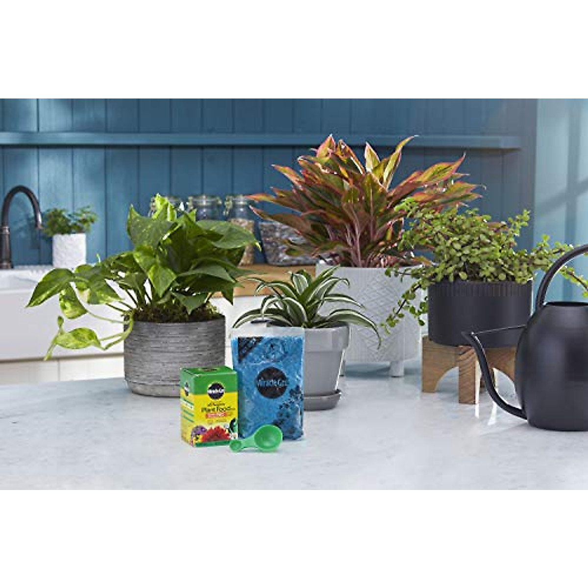 Miracle-Gro Water Soluble All Purpose Plant Food, Plant Fertilizer, 8 oz. (12-Pack)