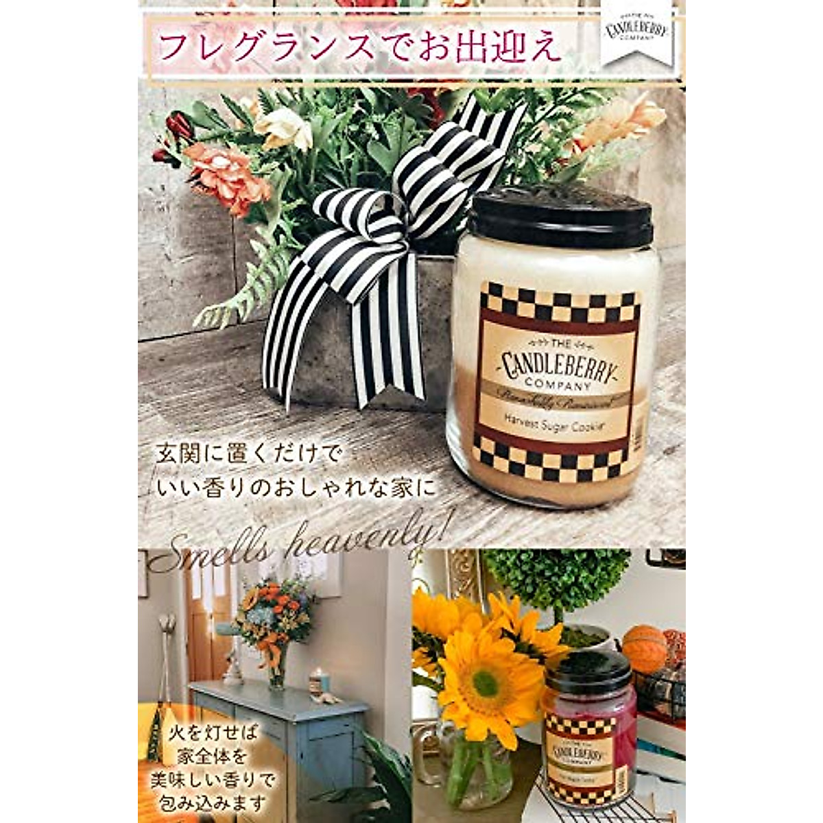 Candleberry Candles | Coconut Island Candle | Best Candles on The Market | Hand Poured in The USA | Highly Scented & Long Lasting | Large Jar 26 oz.