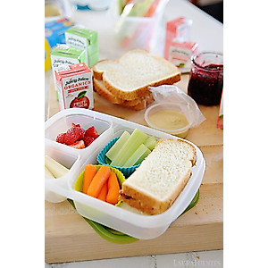 Silicone Lunch Bento Box Dividers, Bento Bundle Lunch Box Accessories for Lunch Containers