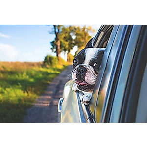 NANOMAN Nano-technology Car Fabric & Upholstery Care - Hydrophobic Waterproof Protector and Stain Guard for Auto Interior Fabrics, Seats, Carpets and Floor Mats.