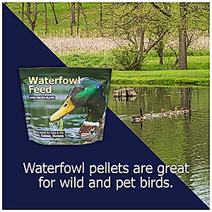 Natural Waterscapes Waterfowl Feed | Floating Pellets for Duck, Swan, Goose | 5 lb Resealable Bag | Use for Wild Duck, Pet Duck