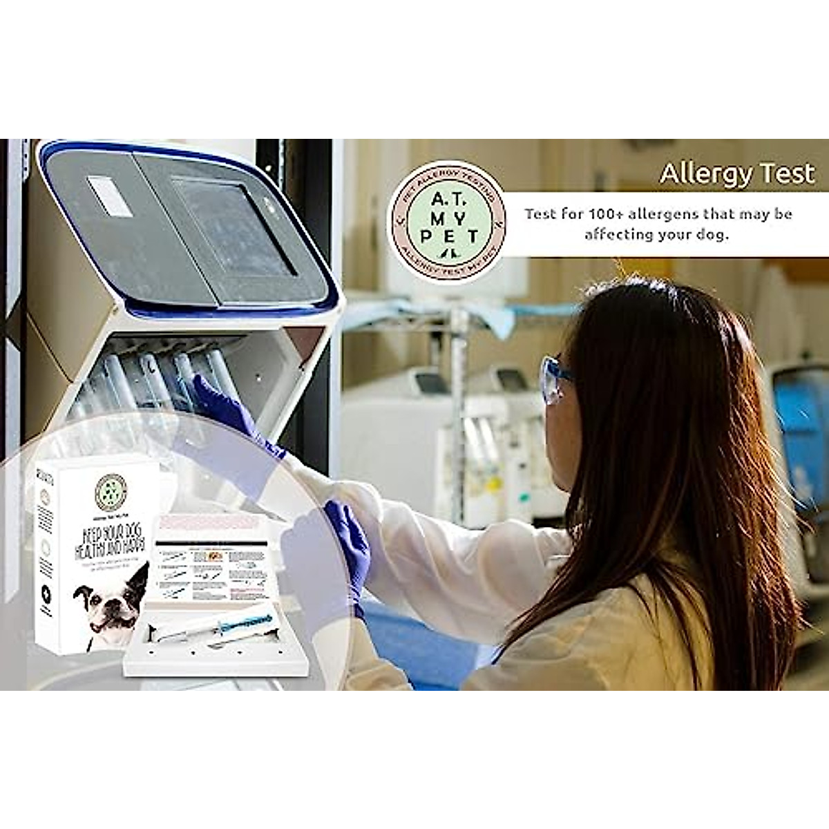 Allergy Test My Pet Dog Sensitivity and Intolerance Testing Kits Home Sample Collection Kit for Dogs Allergy