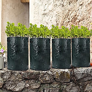 4 Pack 10 Gallon Garden Potato Grow Bags with Flap and Handles Aeration Fabric Pots Heavy Duty Vegetable Planter Bag for Tomato, Fruits